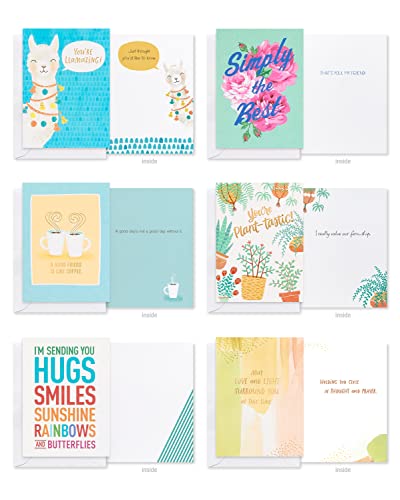 American Greetings Deluxe All Occasion Cards with Envelopes - Birthday, Thanks, Congrats and More (40-Count)