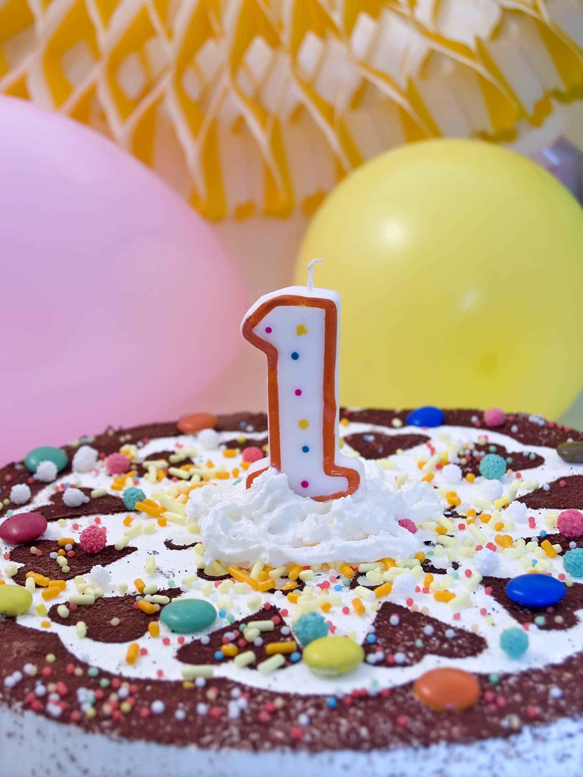 Baby's First Birthday Photo Album - 1st Birthday Girl Brag Book