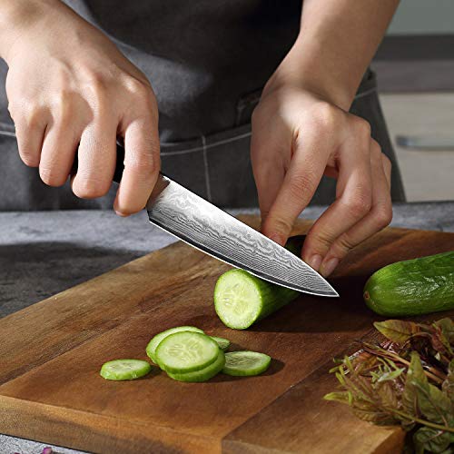 PAUDIN Utility Knife, 5'' Paring Knife, Damascus Kitchen Knife, 67-Layer Forged Blade Ultra Sharp Edge, Stainless Steel Knife, Full Tang G10 Handle with Triple Rivets, for Cutting Fruit and Vegetables