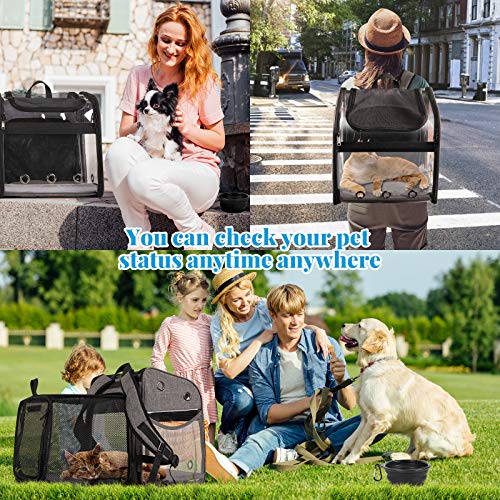 Expandable Cat Backpack Carrier, Breathable Mesh Pet Carrier Backpack for Cats, Dogs, Rabbits, Small Pets, Clear Foldable Cat Pack Backpack with Waist Pad for Walking, Travel, Hiking, Camping, Outdoor