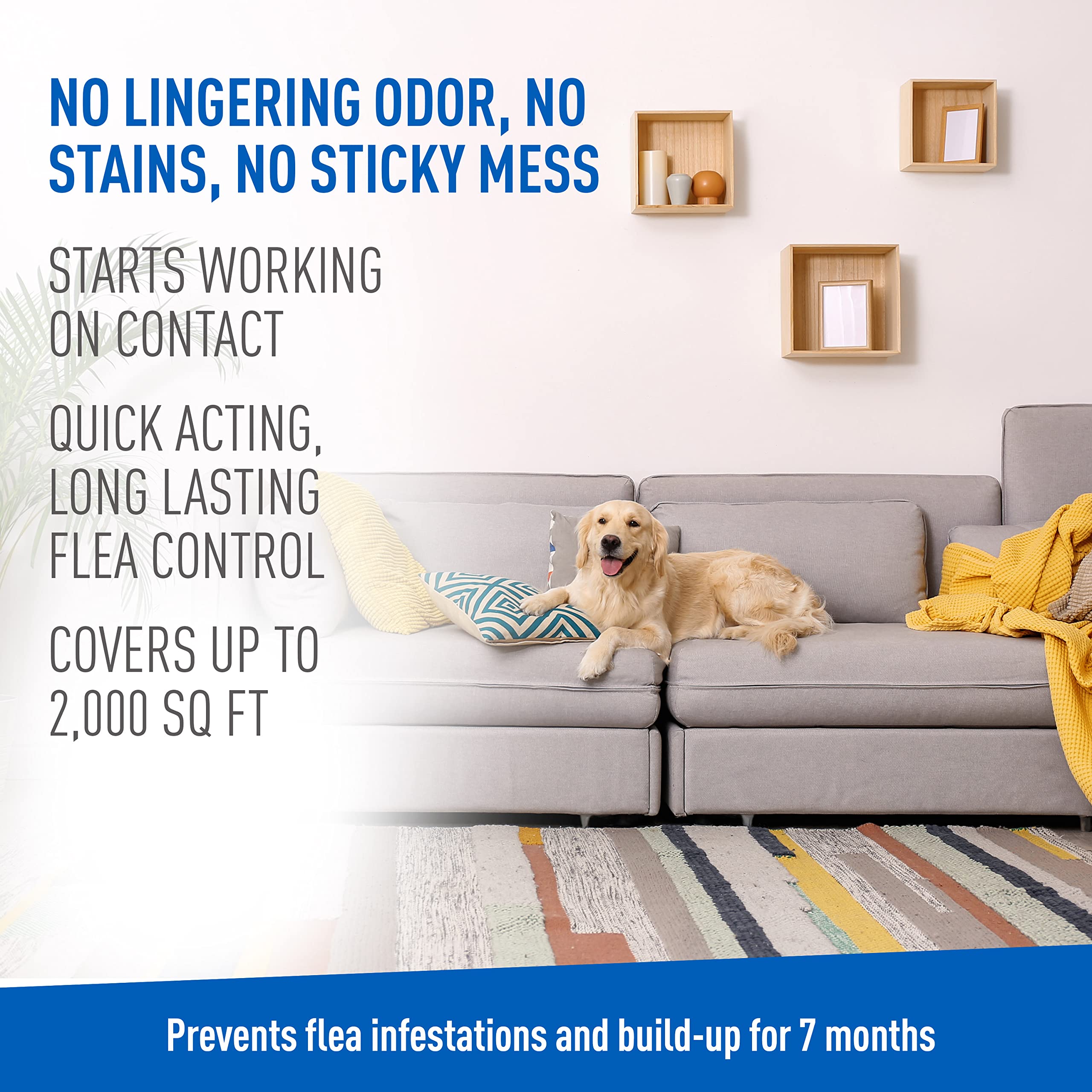 Adams Plus Flea & Tick Carpet Spray, Kills Fleas, Flea Eggs, Flea Larvae, Ticks, Ants, Roaches, Spiders, Waterbugs & Many Other Listed Nuisance Pests In The Carpet, Treats Up to 2,000 Sq Ft, 16 Ounces