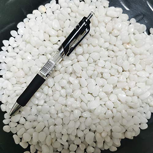 Tonmp 2 lb Natural Polished White Stones 3/8" Gravel Size Polished River Rock Pebbles for Succulents Cactus Bonsai. Decorative fillers. Aquariums and terrariums