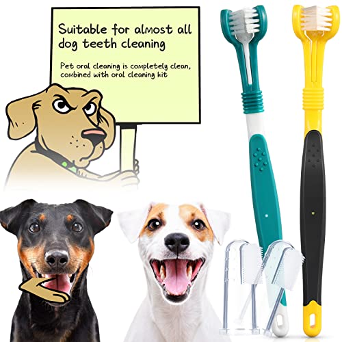 7 Pieces Dog Teeth Cleaning Kit Includes Dental Tooth Scaler and Scraper Stainless Steel Tarter Remover Scraper 3 Head Dog Toothbrush and Silicone Dog Finger Toothbrush Dog Plaque Remover Tools
