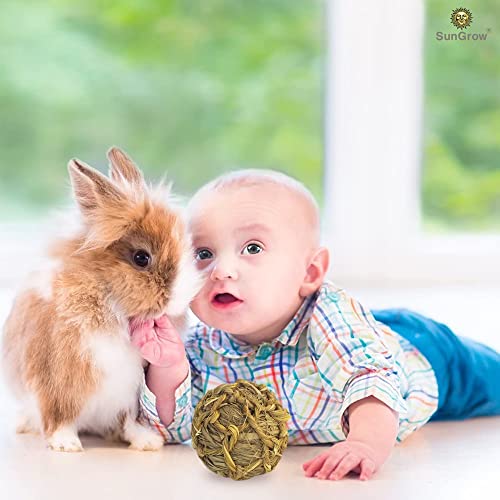 SunGrow Seagrass Balls for Rabbit, for Pet’s Gums & Teeth, Chewable Teething Activity Toy for Gerbils, Guinea Pig, Dwarf Bunny, 1 Pc