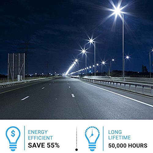 LEDMyplace 300W LED Pole Light 5700K Universal Mount Bronze AC120-277V LED Parking Lot Lights - Commercial Area Street Security Lights
