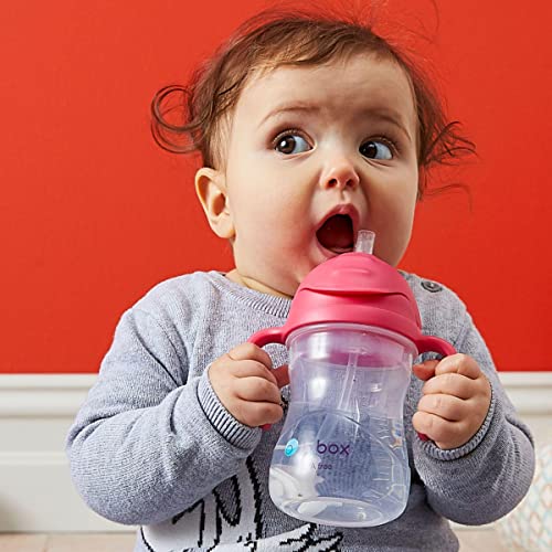 b.box Sippy Cup with Fliptop Straw, Drink from any Angle | Weighted Straw, Spill Proof, Leak Proof & Easy Grip | BPA Free, Dishwasher safe | For Babies 6m+ to Toddlers (Pistachio, 8 oz)