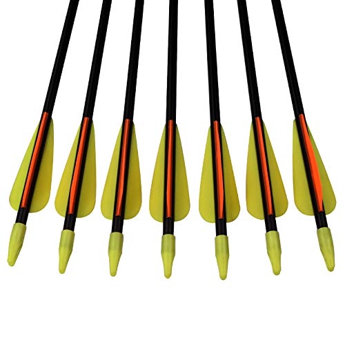 28'' Fiberglass Arrows Archery Target Arrow Practice Shooting Practice Target for Professional Youth Archery Recurve Bow Shooter(Pack of 12)