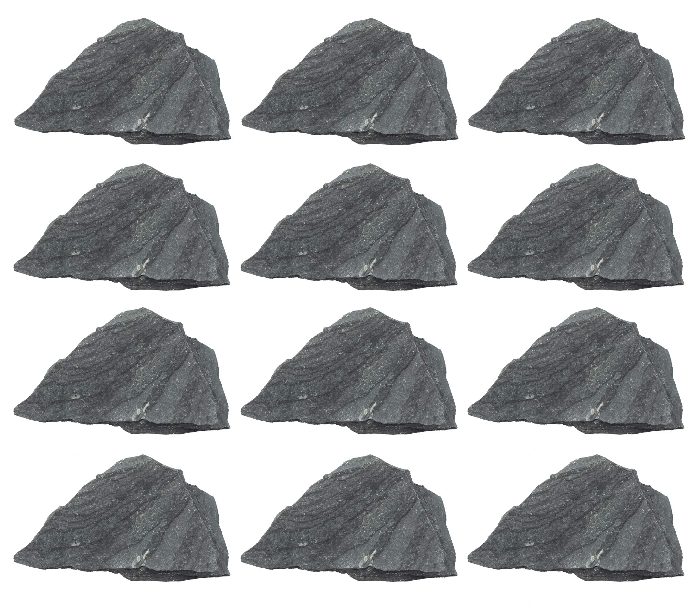 EISCO 12PK Raw Slate, Metamorphic Rock Specimens - Approx. 1" - Geologist Selected & Hand Processed - Great for Science Classrooms - Class Pack