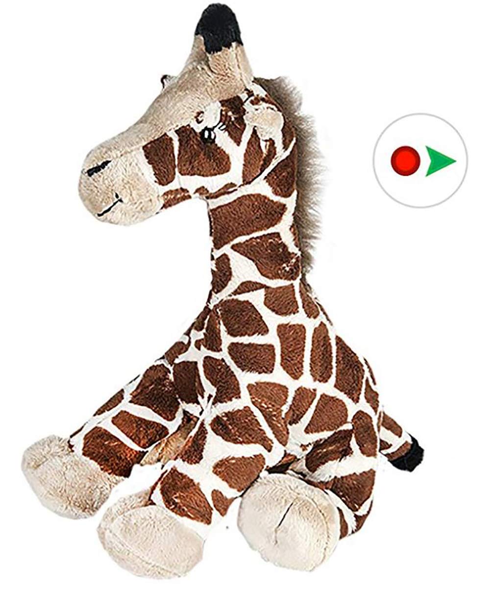 Beary Fun Friends Recordable 8" Plush Gerry The Giraffe w/20 Second Digital Recorder for Special Messages, Rymes or Songs