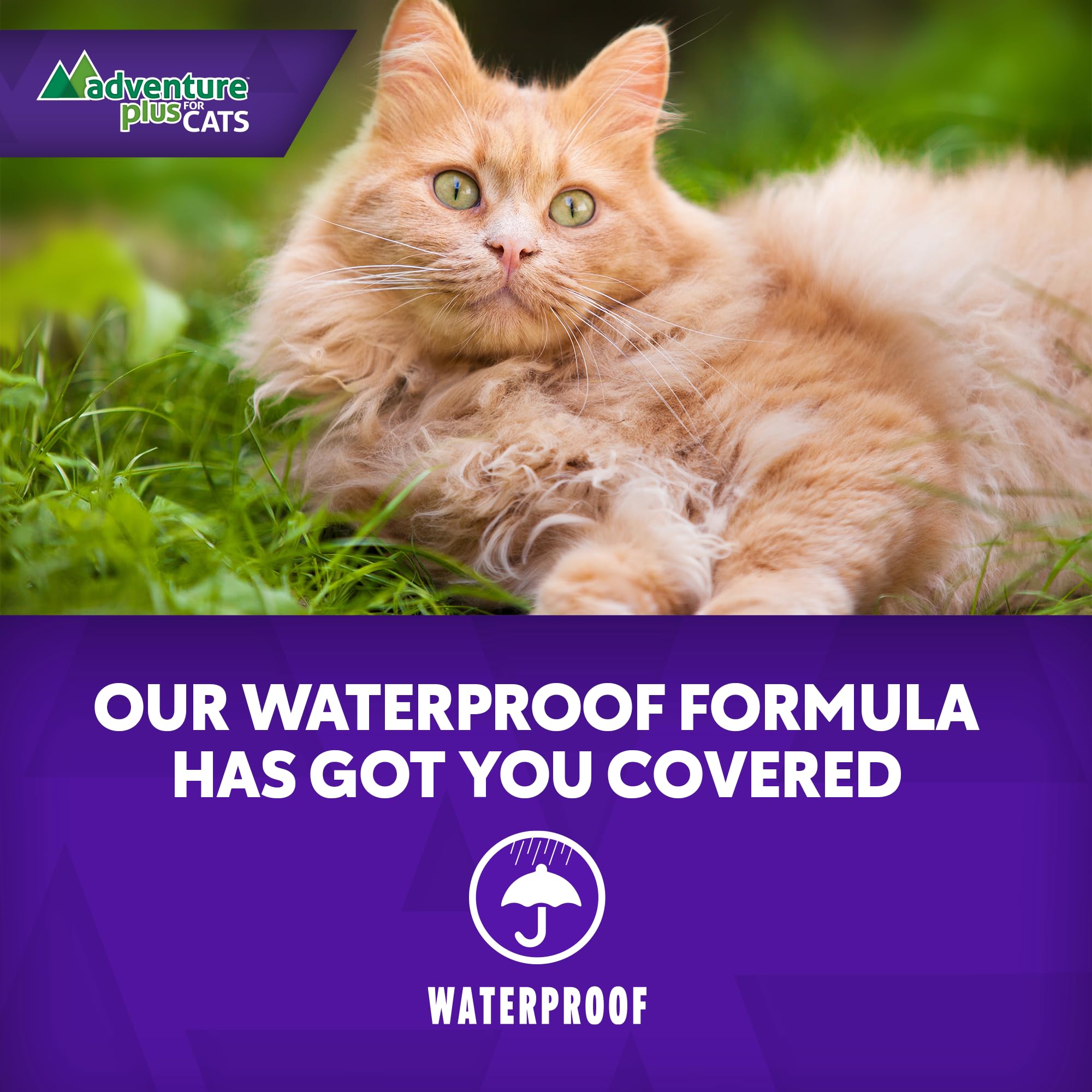 Adventure Plus Triple Flea Protection for Cats – Spot on Flea & Tick Prevention for Cats 9lbs & over – 4 Doses