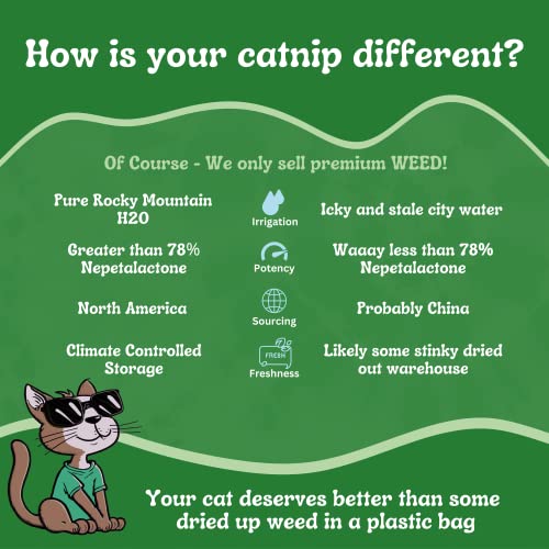 Cat Weed Premium Catnip - All Natural - Maximum Potency Cat Nip - Sprinkle On Your Kittens Favorite Toy Scratch Pad Or Other Refillable Cat Toys - Your Kitty Will Love You