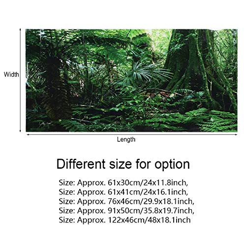 SH-RuiDu Aquarium Background, Durable PVC Reptile Box Rainforest Background Poster Fish Tank Wall Picture Painting Decoration Self Adhesive Sticker for Fish Tank Reptile Box Decorations