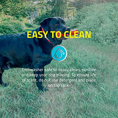 Playology Squeaky Chew Stick Dog Toy, for Large Dogs (35lbs and Up) - for Moderate Chewers - Engaging All-Natural Beef Scented Toy - Non-Toxic Materials