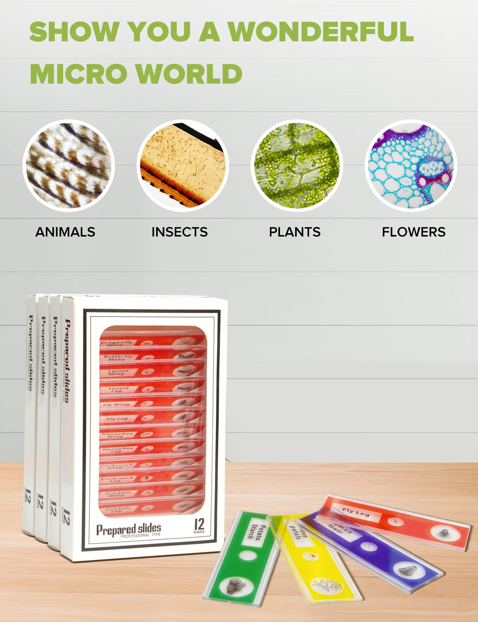 48Pcs Prepared Microscope Slides, ANNLOV Animals Insects Plants Flowers Specimen Microscope Sample Slides for Kids