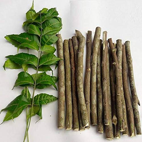 PasumAI Organic Ayurvedic Natural Organic Neem Datun Toothbrush Neem Treechew Sticks For Brushing -20 Pieces 6 Inch