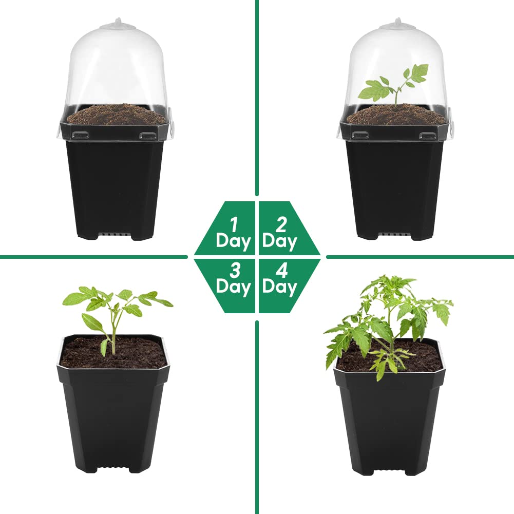 24 Sets 3 Inch Square Plant Nursery Pots with Humidity Domes Clear Lids Plant Labels, Seeds Starter Pot Planter Containers for Planting Seedlings