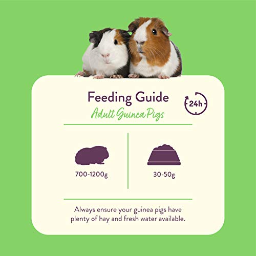 Burgess Excel Nuggets With Mint Guinea Pig Food 10kg