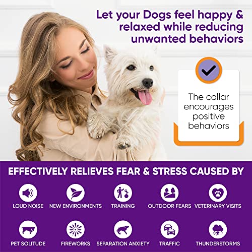 4 Pack Calming Collar for Dogs, All New Pheromone Anti-Loose Dog Calm Collar, Separation Anxiety Relief for Dogs, Reduce Dog's Anxiety and Stress