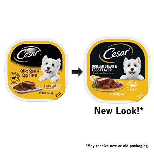 CESAR Soft Wet Dog Food Classic Loaf in Sauce Grilled Steak and Eggs Flavor, Easy Peel Trays, 3.5 Ounce (Pack of 24)