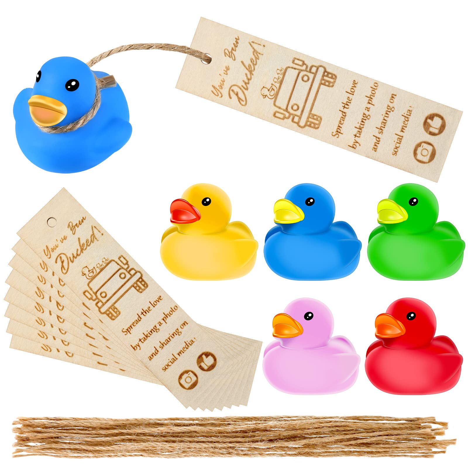 60 Pcs You've Been Shunned Cards with Rubber Ducks and Strings Small Rubber Duckies with Duck Card Tags Mini Rubber Ducks Bulk for Car Street Toy Party Game Decor Assorted Colors (Wood, Cute Style)