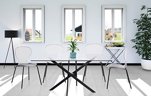 Meridian Furniture Clarion Collection Modern | Contemporary Lucite Polycarbonate Stackable Dining Chair with Sturdy Metal Legs, Set of 2, 19.5" W x 19" D x 32.5" H, Matte Black Finish