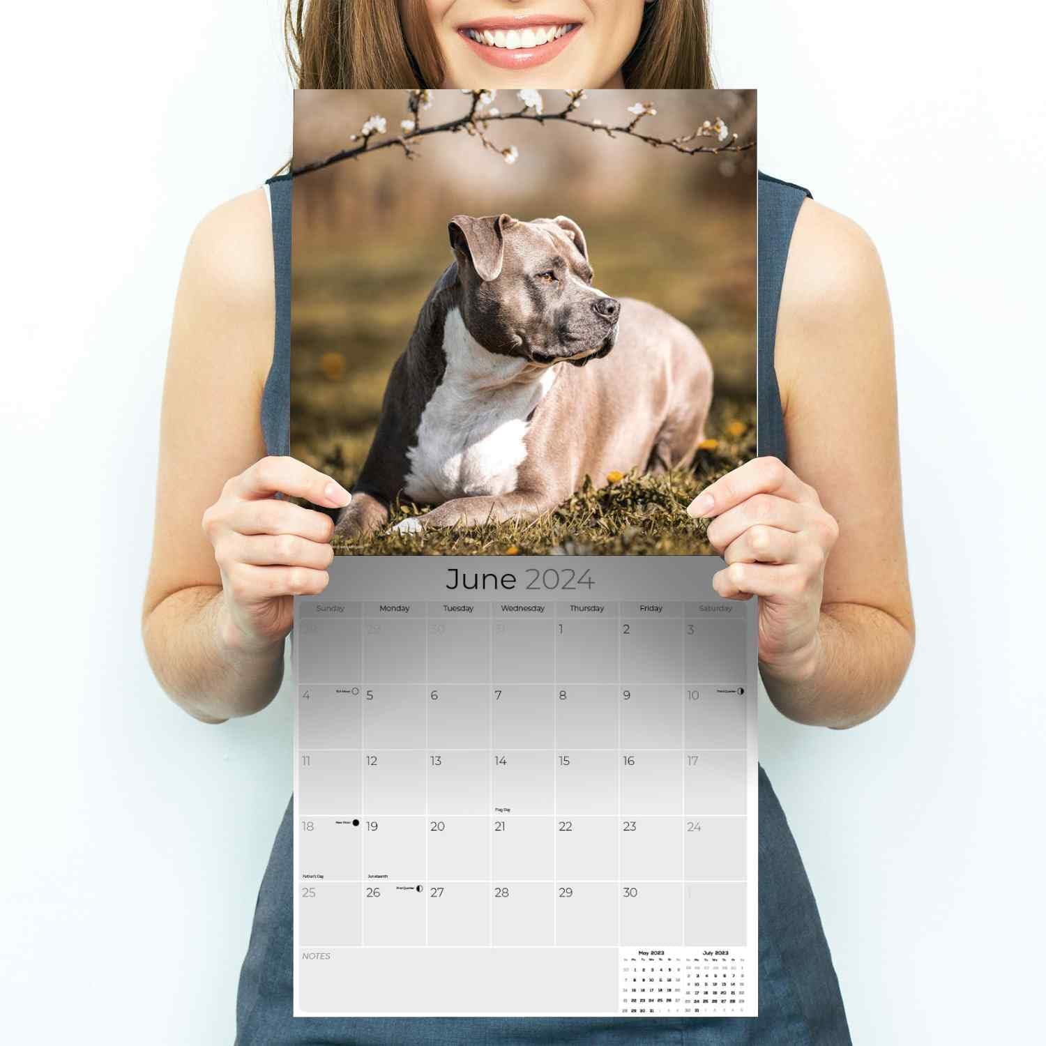2023 2024 American Staffordshire Terrier Calendar - Dog Breed Monthly Wall Calendar - 12 x 24 Open - Thick No-Bleed Paper - Giftable - Academic Teacher's Planner Calendar Organizing & Planning