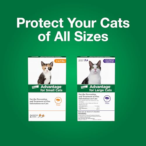 Advantage Topical Cat Flea Treatment and Prevention for Large Cats Over 9 lbs. | Apply Flea Drops Monthly | 2 Treatments