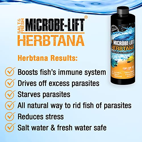 MICROBE-LIFT HERB16 Herbtana Immune Booster and Natural Parasite Remover for Freshwater and Saltwater Home Aquariums and Fish Tanks, 16 Ounces
