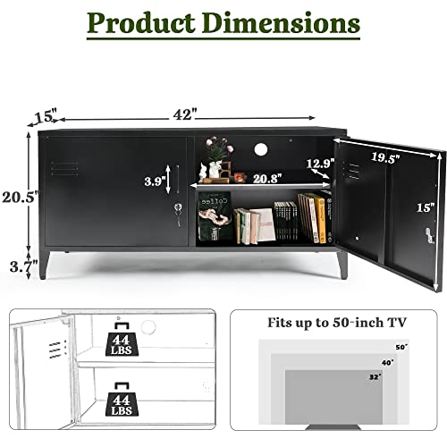 DOALBUN Metal Storage Cabinet, 2 Door Metal Locking Cabinet, Steel Lockable Office Storage Cabinet with 2 Shelves for Home Office, Garage and Warehouse (Black)