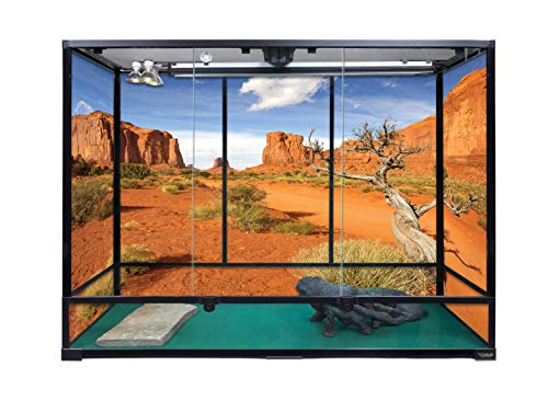 Reptile Habitat Background; Monument Valley with Tree, for 48Lx18Wx36H Terrarium, 3-Sided Wraparound