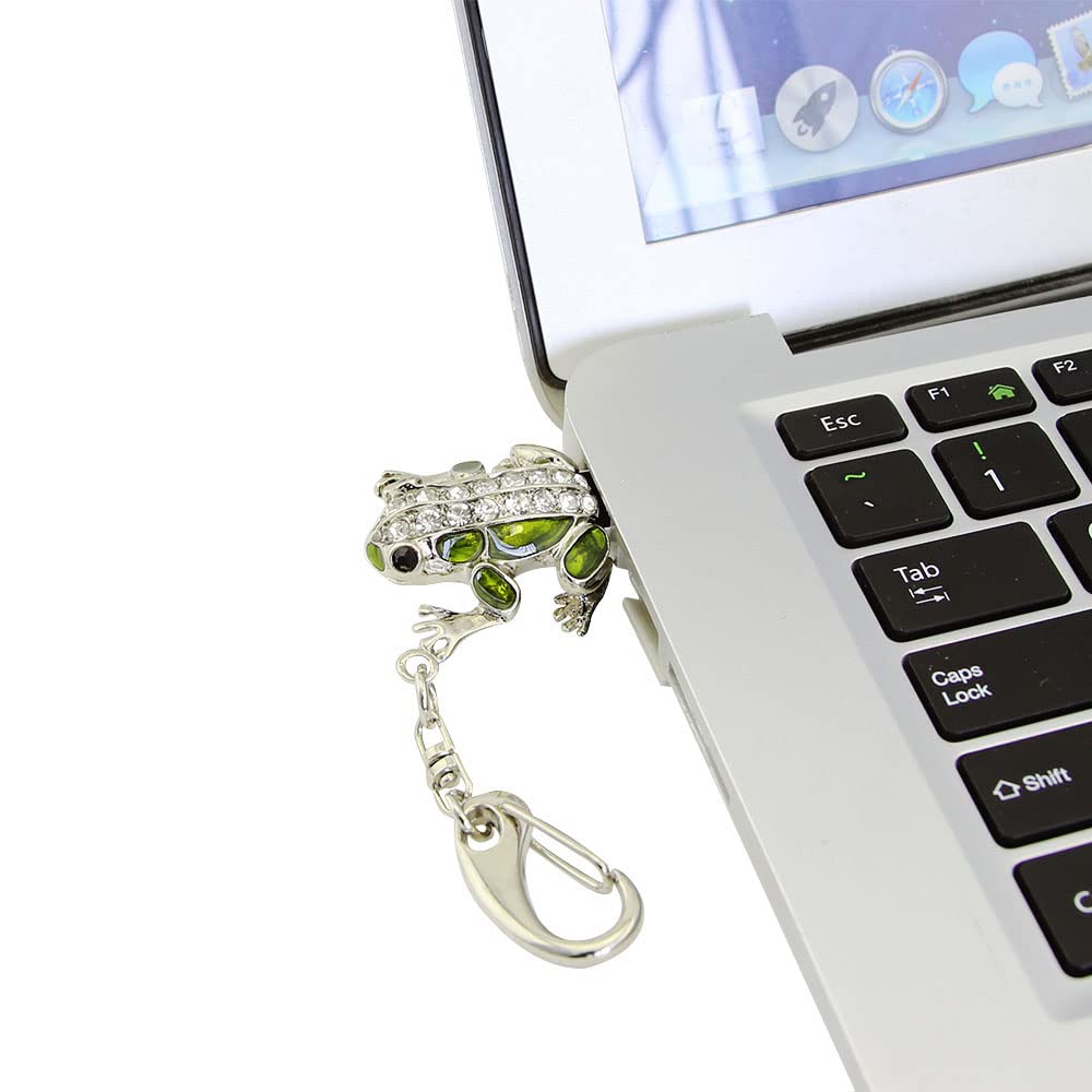 64GB USB 2.0 Flash Drive, Cute Frog USB Stick, Memory Sticks for Computers, Easy to Carry Flash Memory Stick, Personalized Flash Drive for Storing and Backup Photos
