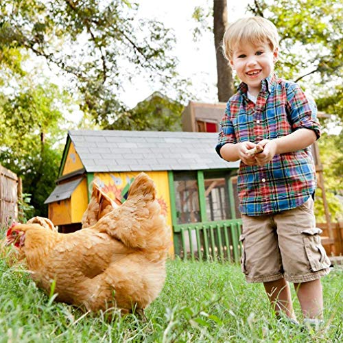 BestPet 87" x 41"Large Metal Chicken Coop Run Enclosure Pen with Waterproof Cover Outdoor Backyard Farm Cage Crate Pet Playpen Exercise Pen for Rabbit Duck Hen