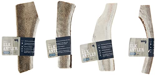 Amazon Brand – Wag Split Elk Antler, Naturally Shed, Medium 6–7.5 inches