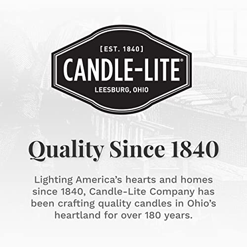 Candle-Lite Everyday Scented Balsam Forest 3-Wick Jar Candle, 10 oz, Green