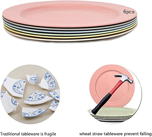 shopwithgreen 10 Inch Wheat Straw Dinner Plates, Unbreakable Sturdy Plastic Dinner Plates, Microwave and Dishwasher Safe