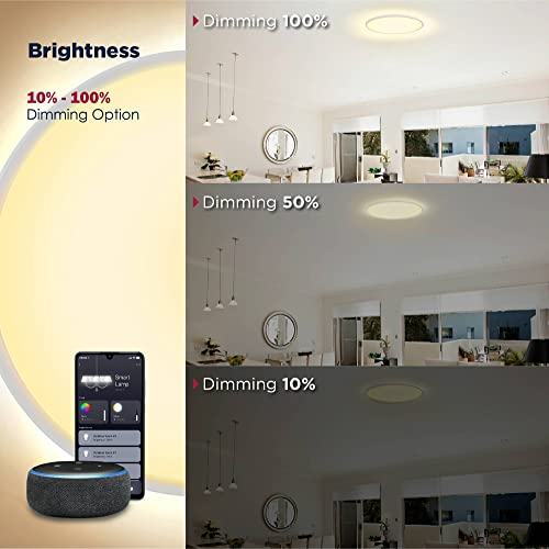 BestLuz Smart Ceiling Light Flush Mount LED WiFi, Compatible with Alexa & Google Assistant, Dimmable Low Profile Ambient Light Fixture for Bedroom Living Room,16 Inch 24W