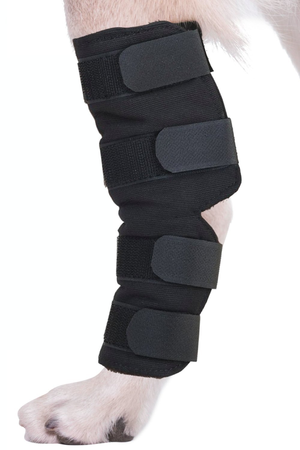 AGON® Dog Leg Braces for Back Leg wrap hock Compression Protects Wounds and Helps heal hind Legs Rear Ankle Joint, preventing Injuries, sprains Providing Stability for Dogs, Canines Arthritis (Small)