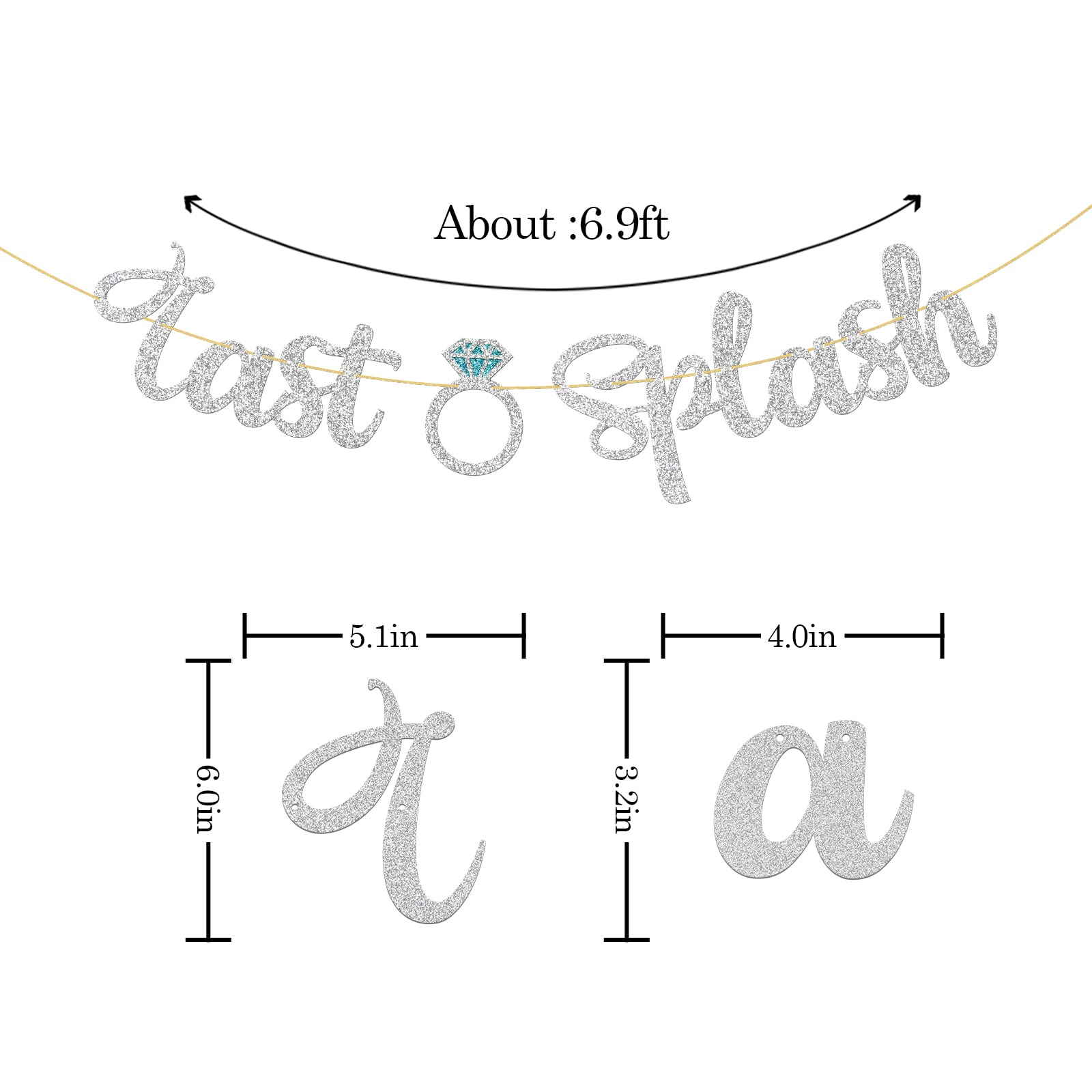 Last Splash Banner, Bride Shower Party Supplies, Engagement, Wedding Bachelorette Party Decorations - Silver Glitter