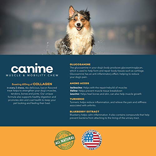 MYOS Canine Muscle & Mobility Chews β Natural Collagen & Glucosamine for Dogs - Bacon Flavor Joint Supplement for Muscle, Bone & Joint Support, 60 Count