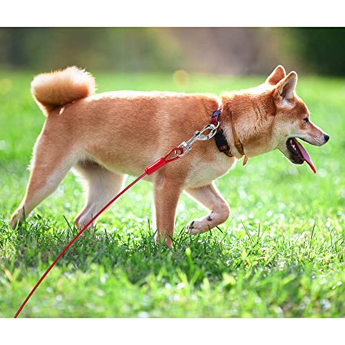 BV Pet Tie Out Cable for Dogs Up to 125 Pounds, 30 Feet (Red/ 125lbs/ 30ft)