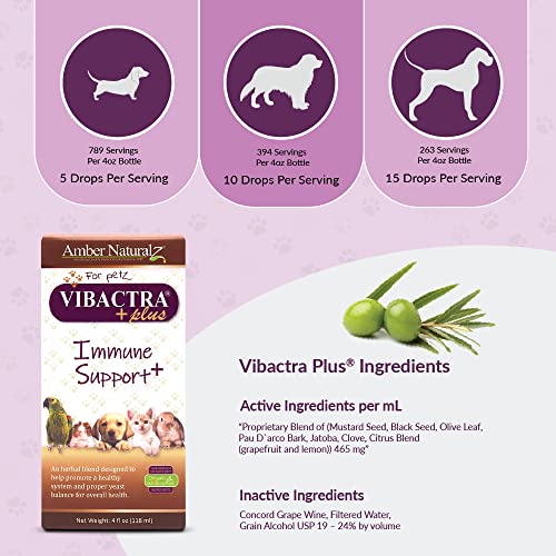 Amber NaturalZ - Vibactra Plus Immune Support Plus - an antioxidant enriched formula helps fight free radicals, supports healthy yeast balance, maintains healthy gut flora, supports upper respiratory health and oral health - 4 Oz