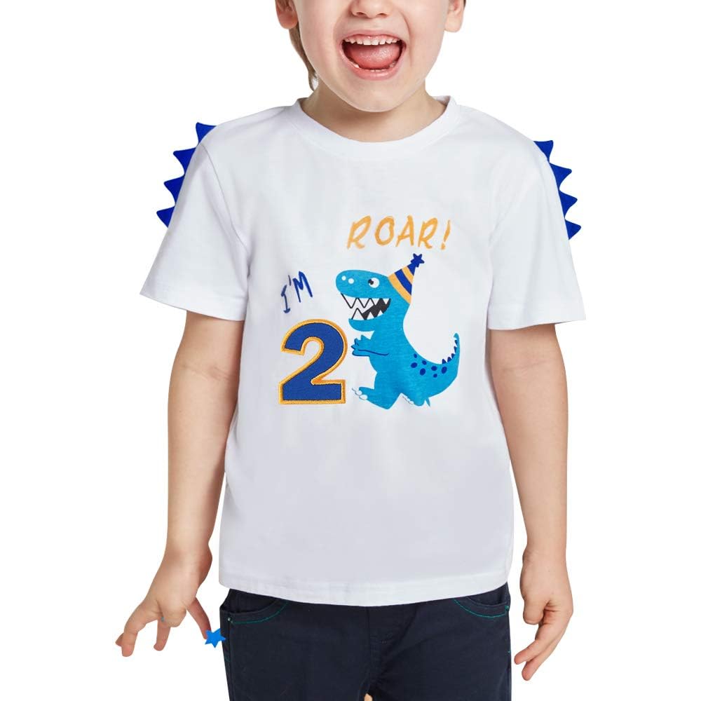 Dinosaur Birthday T Shirt - 2nd Birthday Party Supplies Toddler Boys Gift Short Sleeve White T-Shirt 100% Cotton Crew Neck T-Rex Printed Embroidery Graphic Top Tee