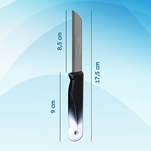 SMI β12 Pcs Paring Knife Set Vegetable Knife Serrated Fruit Knife Solingen Knife Made in Germany