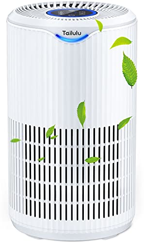 Air Purifiers for Home Large Room Up to 1345 Sq Ft, CADR 180m³/h+, Tailulu H13 HEPA Air Purifier for Pet Dander Smoke Odor Dust Pollen, Air Filter for Bedroom Living Room, Kitchen, Office, Sleep Mode