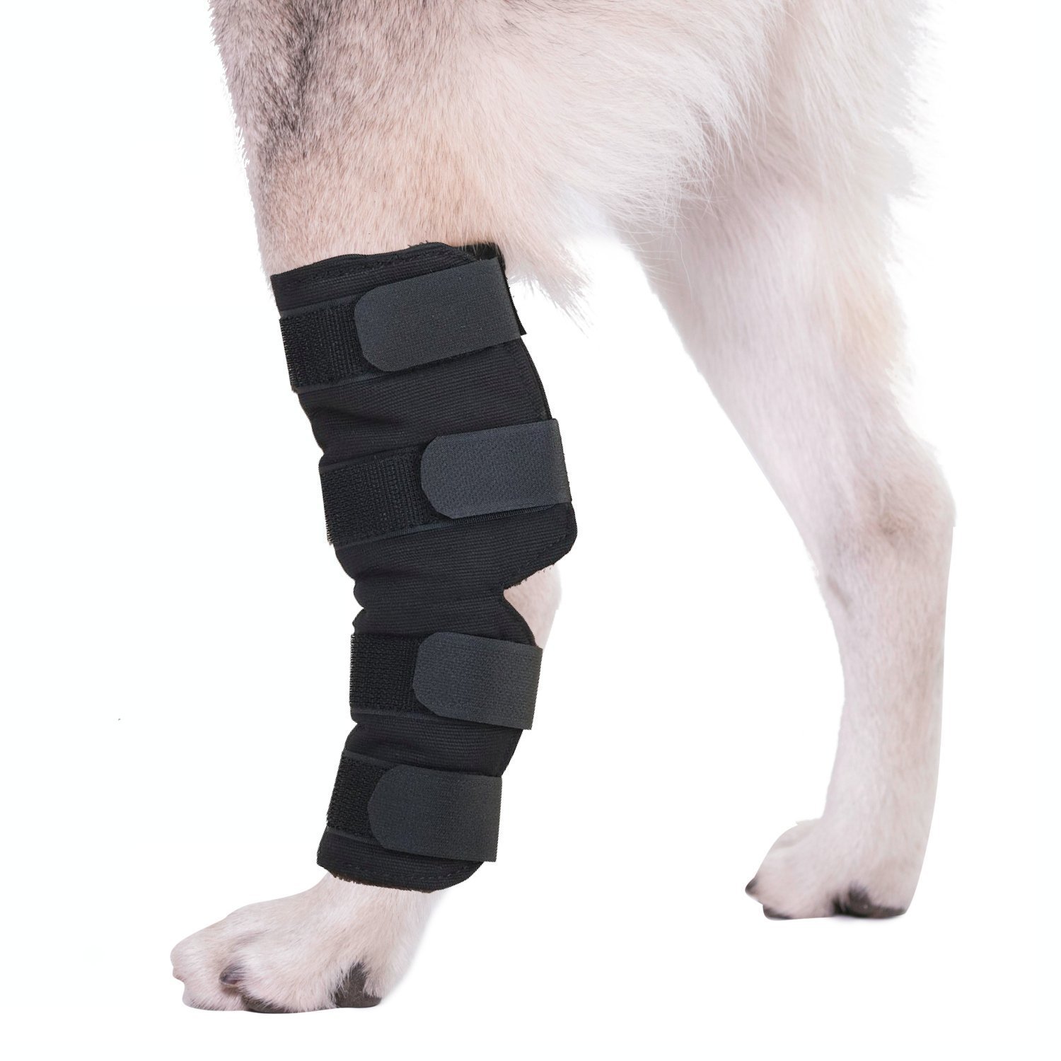 AGON® Dog Leg Braces for Back Leg wrap hock Compression Protects Wounds and Helps heal hind Legs Rear Ankle Joint, preventing Injuries, sprains Providing Stability for Dogs, Canines Arthritis (Small)