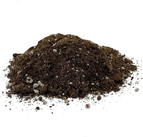 Soil Mixture for Lucky Bamboo Plants, Specialized Soil Mix for Lucky Bamboo Plants, Plant or Re-Pot Lucky Bamboo, 4qt
