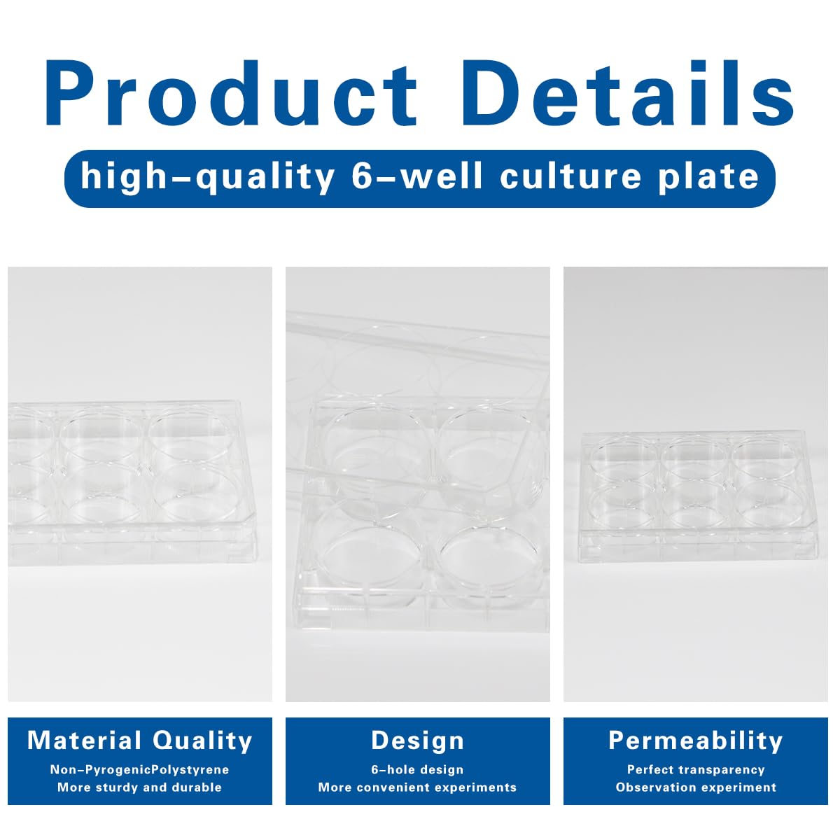BIPEE Polystyrene Petri Dish 6 Well Cell Culture Plate, Sterile, Pack of 10