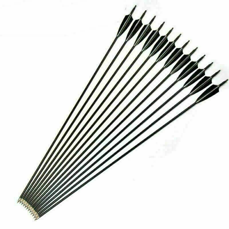 33" Archery Carbon Arrows W/Real Turkey Feather SP500 F Recurve Bow Hunting (12Pcs)