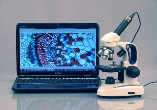 AmScope M158C-2L-PS25 Cordless Compound Monocular Microscope, WF10x and WF25x Eyepieces, 40x-1000x Magnification, Upper and Lower LED Illumination with Rheostat, Brightfield, Single-Lens Condenser, Coaxial Coarse and Fine Focus, Plain Stage, 110V or Batte