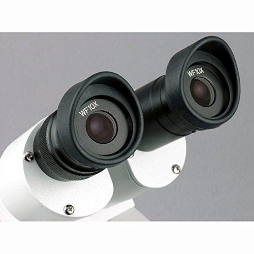 AmScope SE306R-P Forward-Mounted Binocular Stereo Microscope, WF10x Eyepieces, 20X and 40X Magnification, 2X and 4X Objectives, Upper and Lower Halogen Lighting, Reversible Black/White Stage Plate, Pillar Stand, 120V